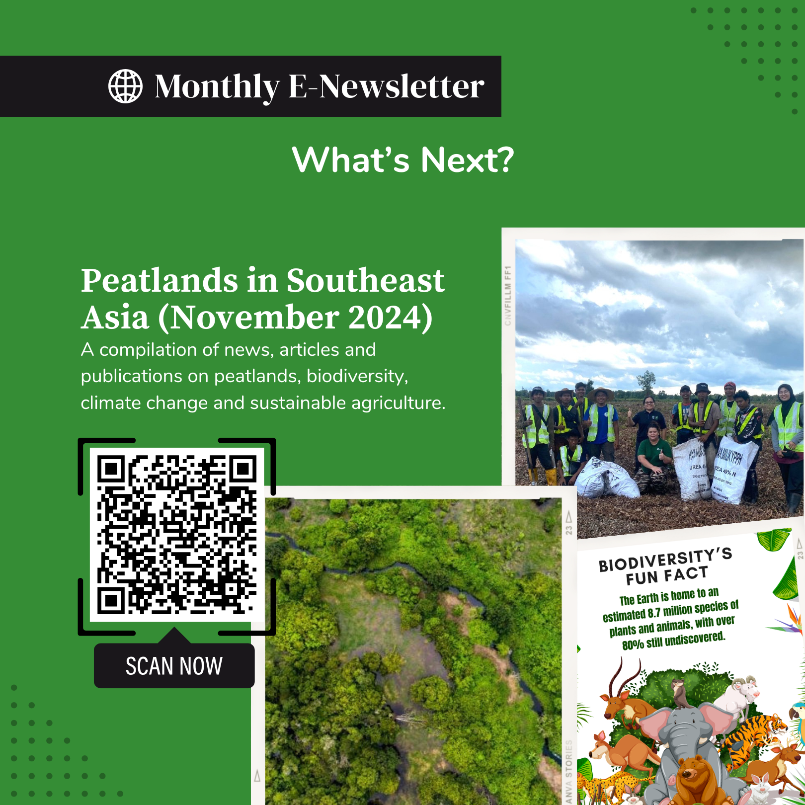 November 2024 - Global Environment Centre